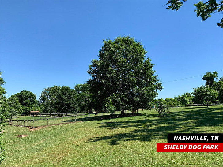 Male model Christian Hogue arrested for felony aggravated assault