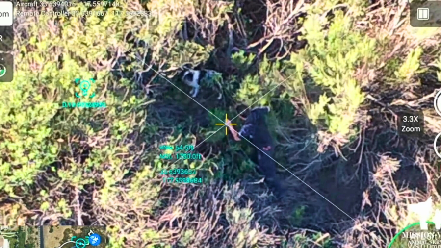 Thermal drone guides officers to dog lost during Southern California ...