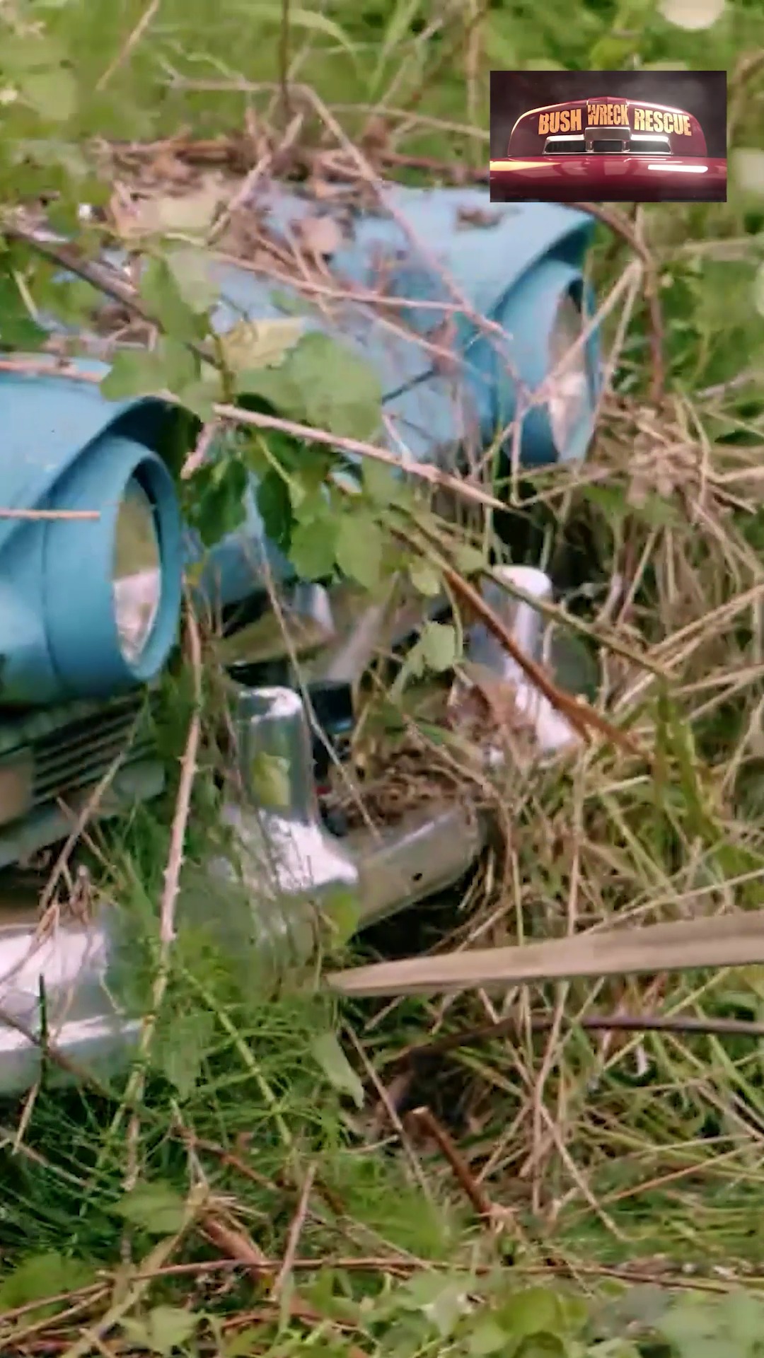 He almost left it to rot