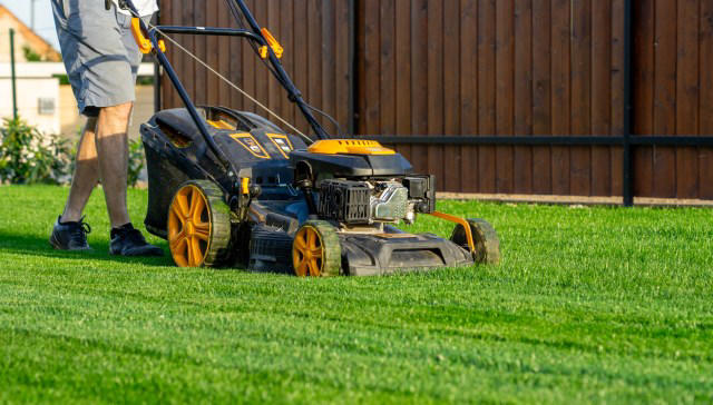 Side-by-side photos reveal a hidden perk for people who hate mowing ...