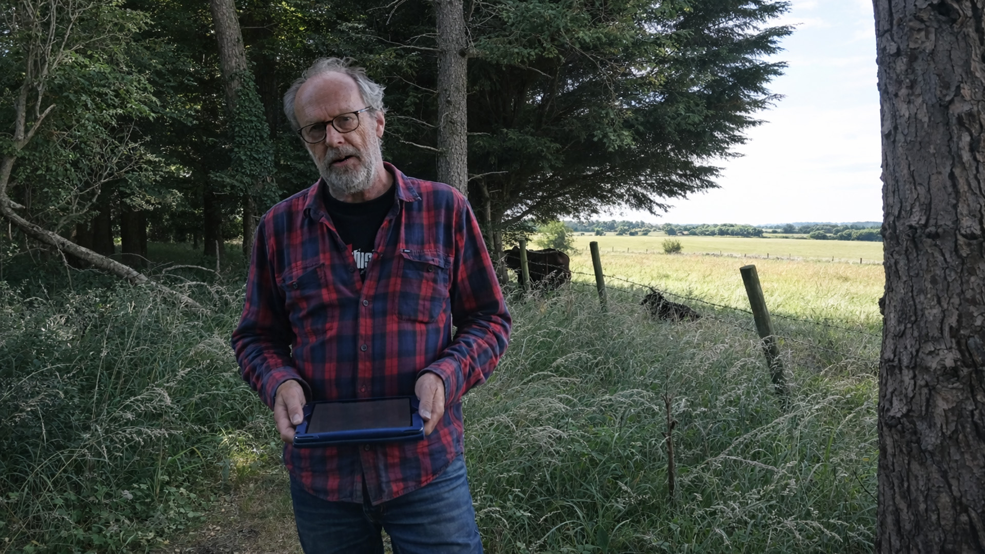 Why planting trees on farmland isn’t that simple