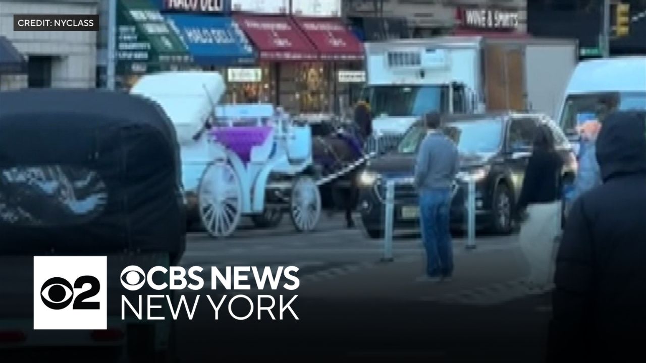 Carriage horse runs into traffic, hits cars
