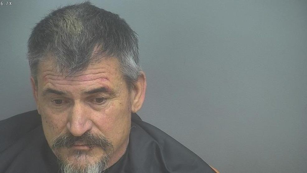 Landowners face charges after hunting dogs found shot dead in ...