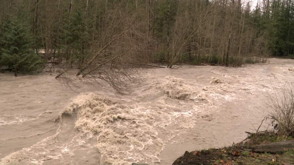 Dozens of homes along Chilliwack River on evacuation alert due to heavy ...