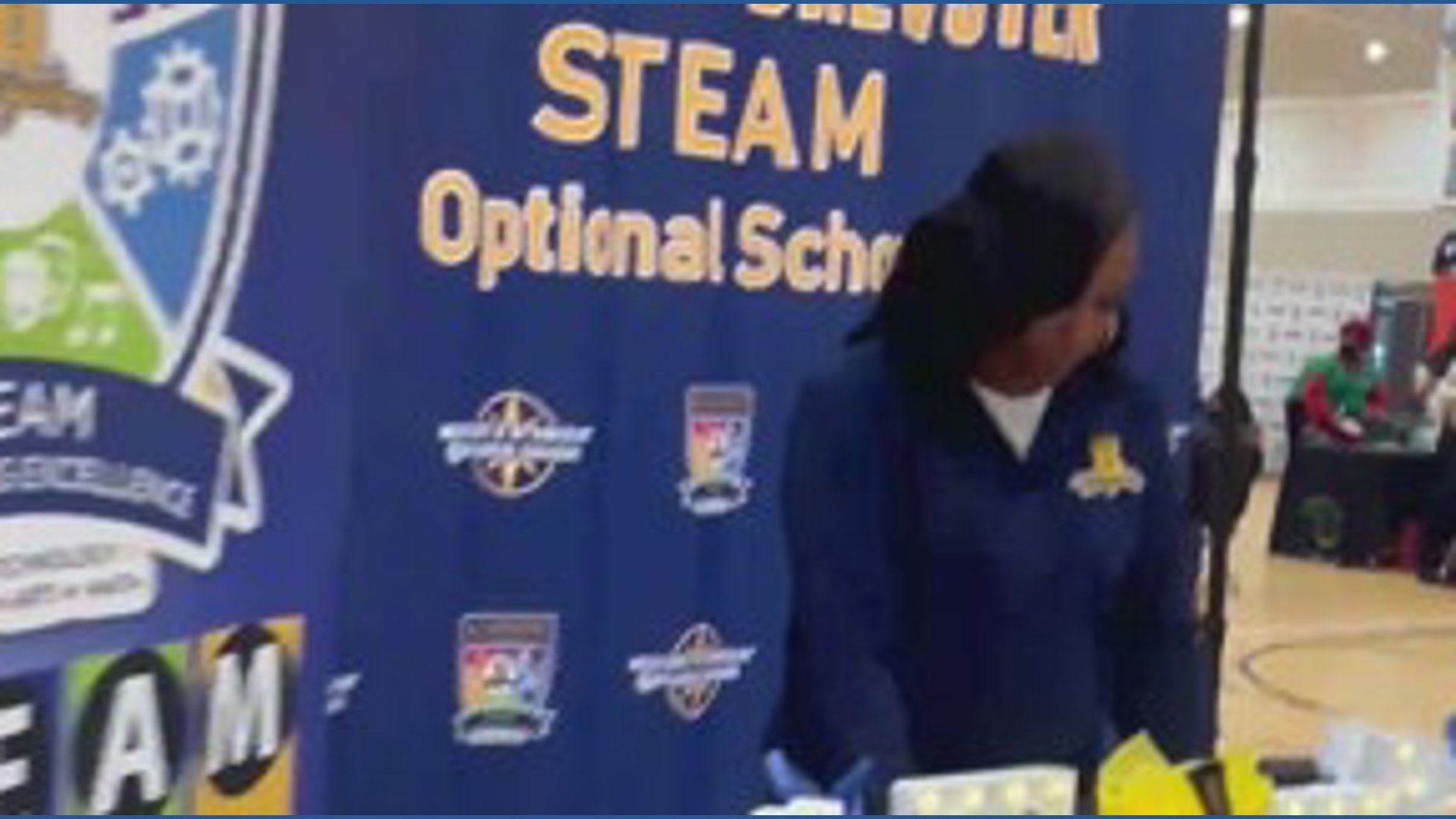 MSCS school fair | William H Brewster optional STEAM school