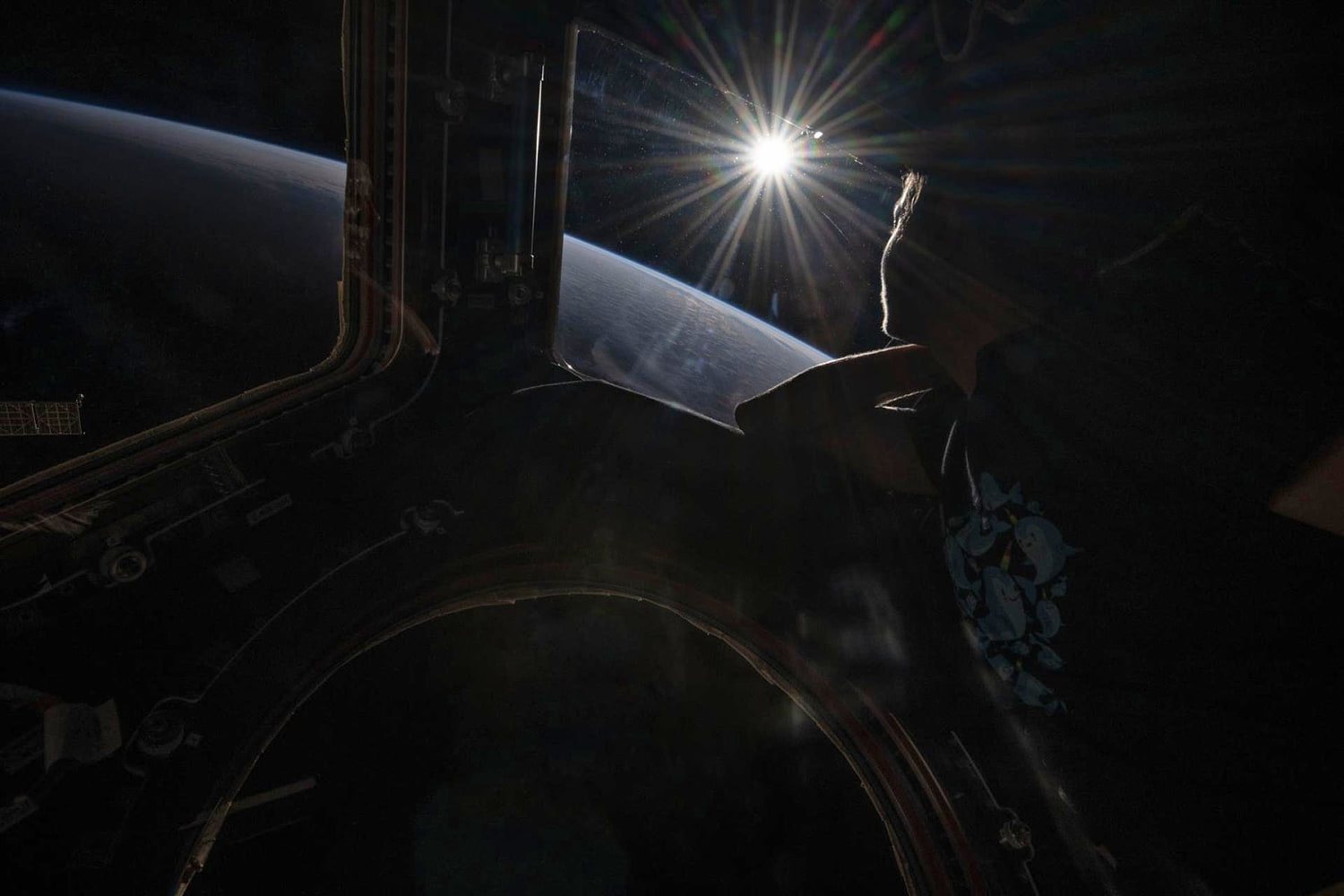 Astronauts' brains change shape and position after time in space, study ...