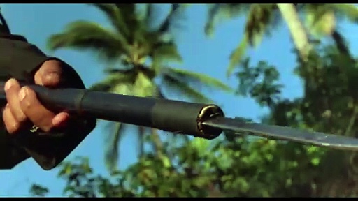 American Ninja (1985) movie