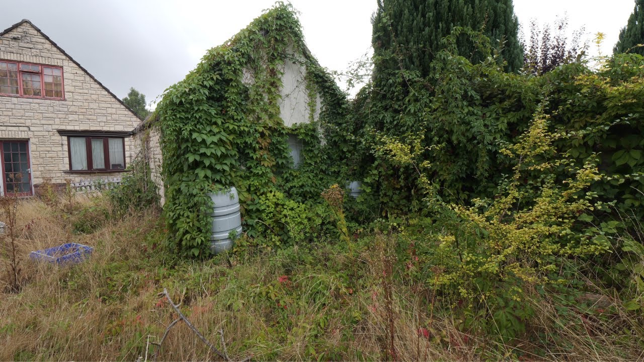 I tackled a 19-year-overdue garden rescue