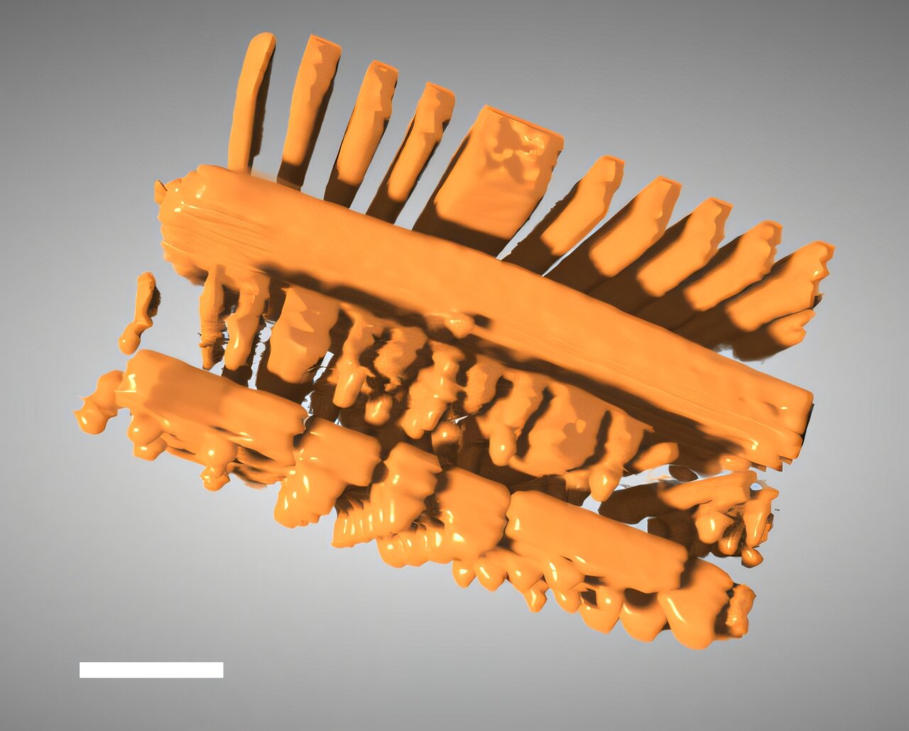 Novel AI method sharpens 3D X-ray vision