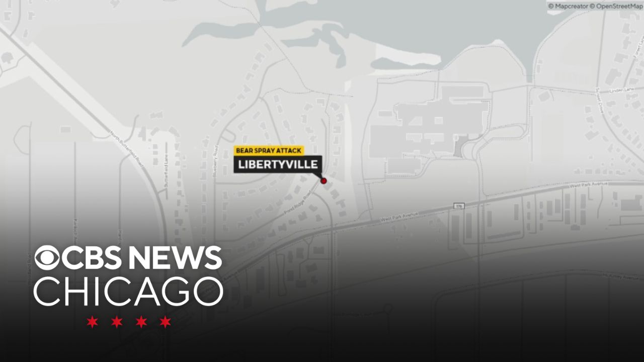 Man attacks sheriff’s deputies with bear spray during mental health writ