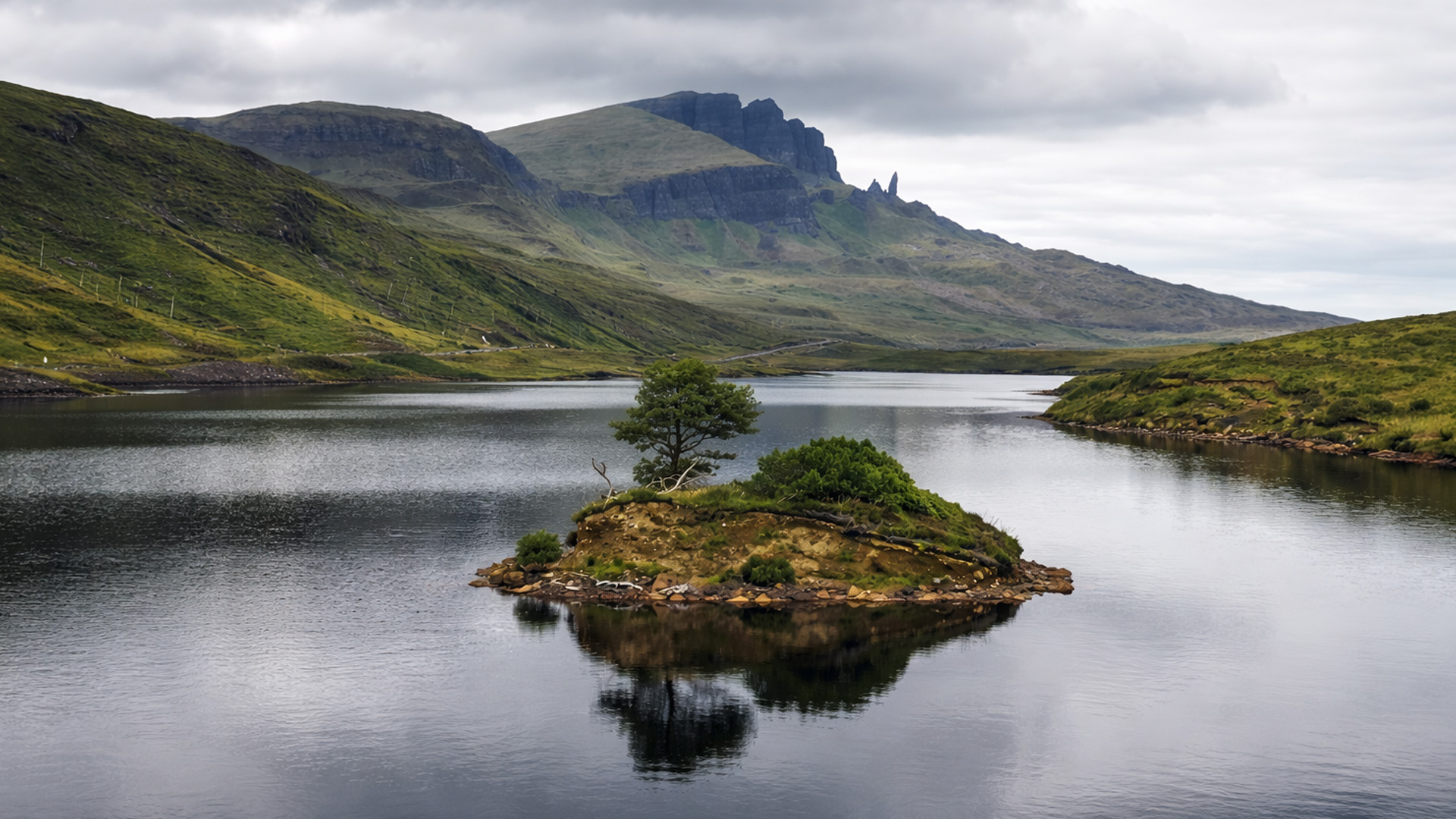 The island with one tree