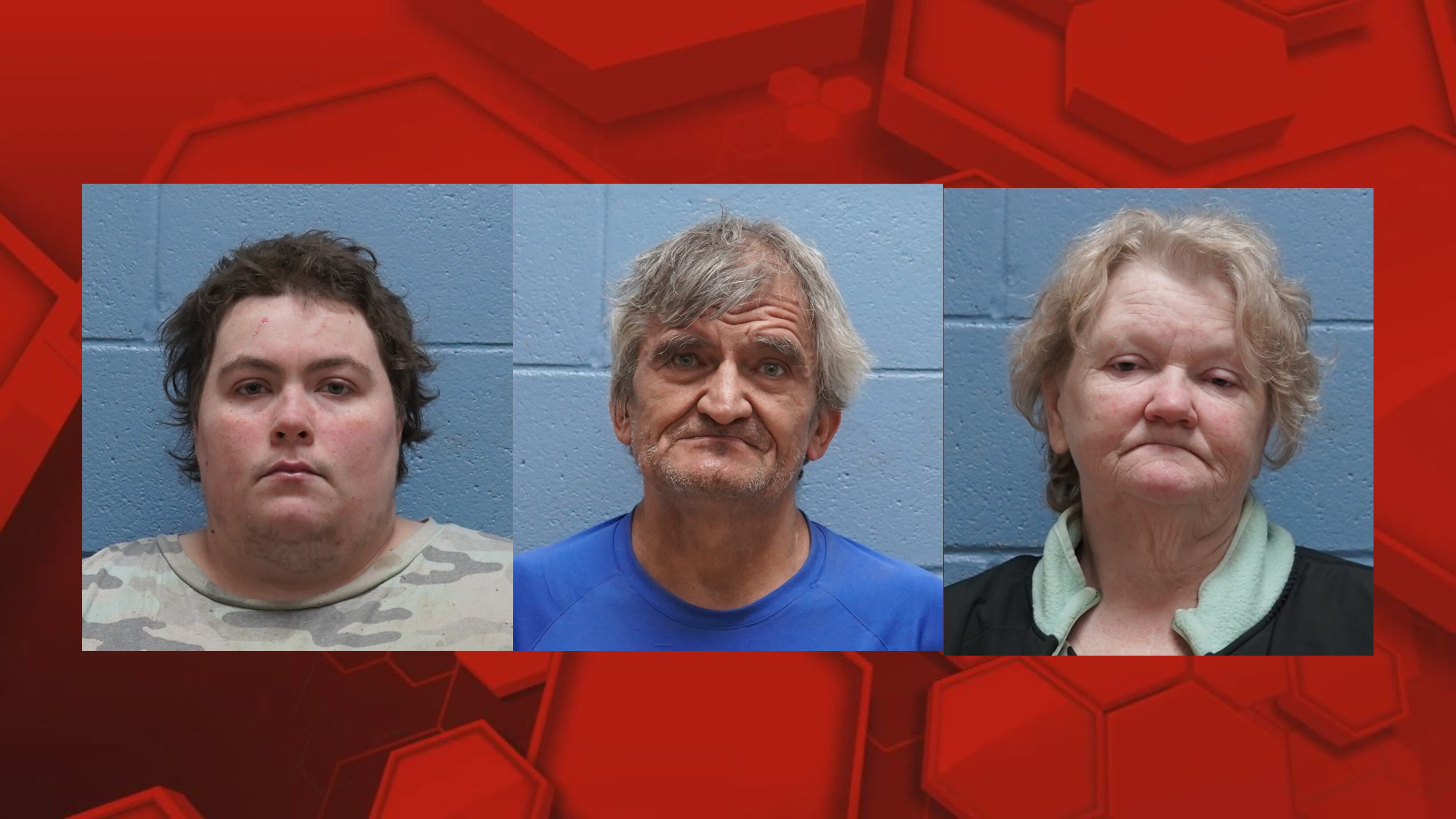 Three arrested in Lee County animal cruelty case involving 53 dogs