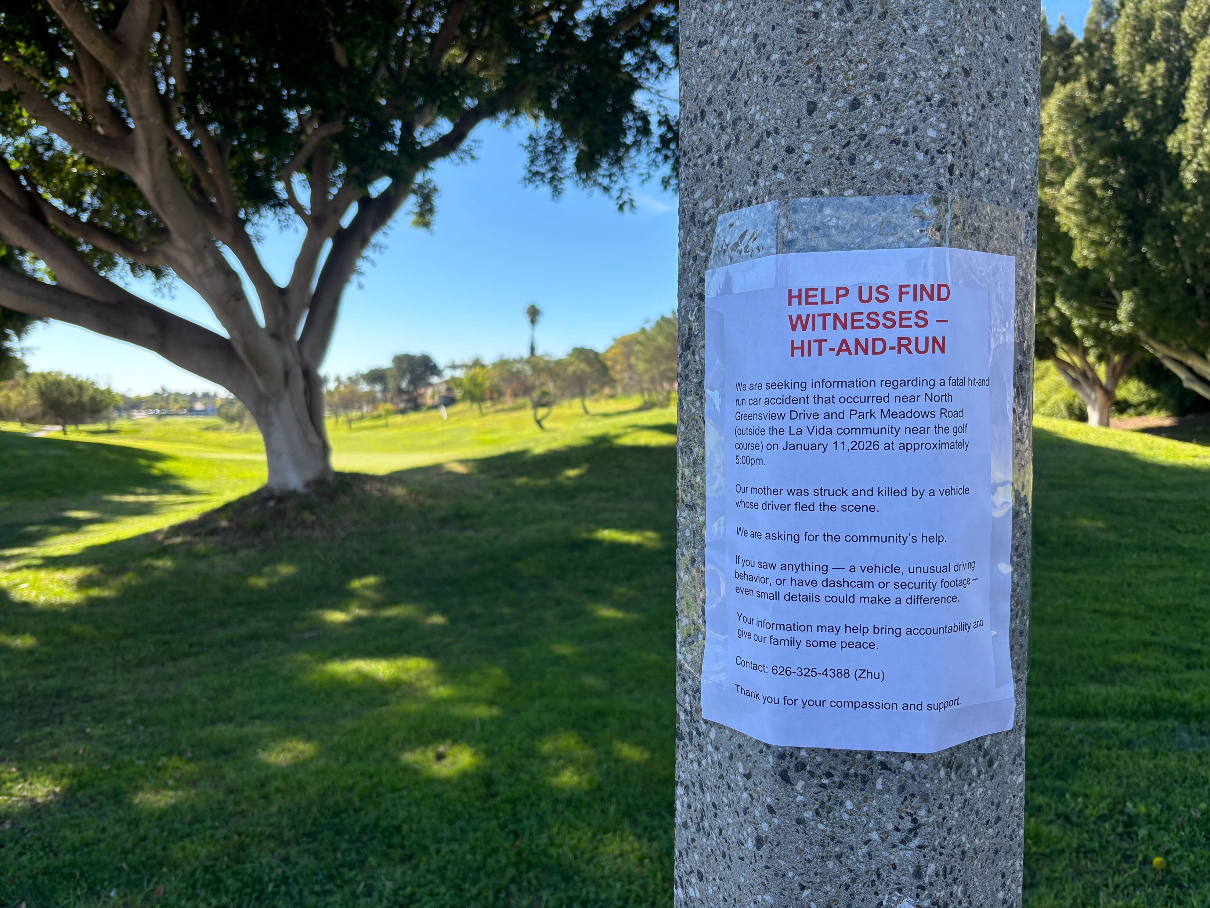 Continúa búsqueda de conductor que se dio a la fuga y mató a una mujer ...