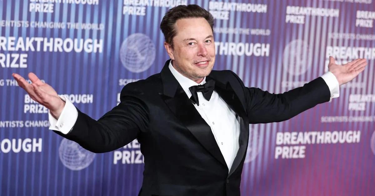 Elon Musk declares he's filing for sole custody of his and Ashley St ...