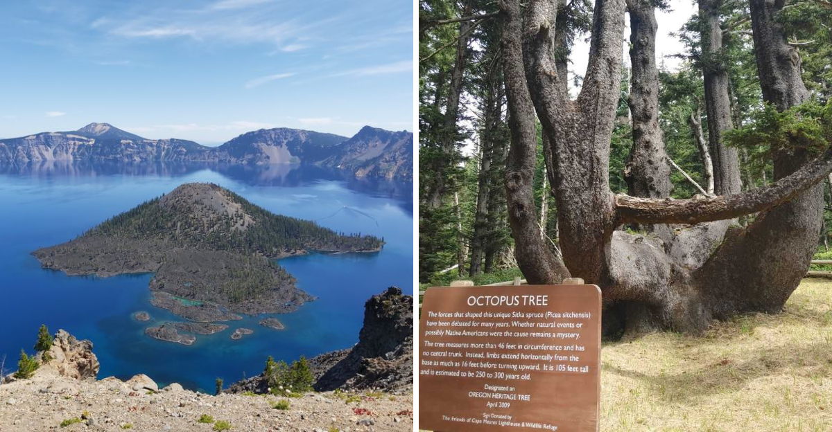 10 places in Oregon that don’t seem strange until you know the history