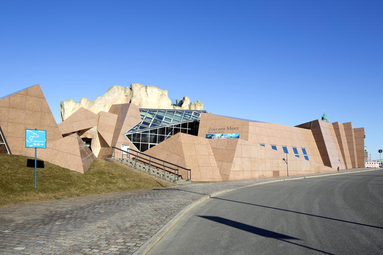 Zoo im Norden steht unter Wasser – die Lage ist ernst