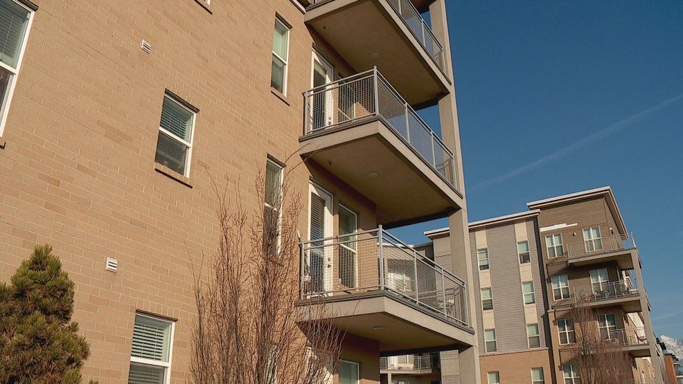 Expert urges attention to domestic violence warning signs following ...