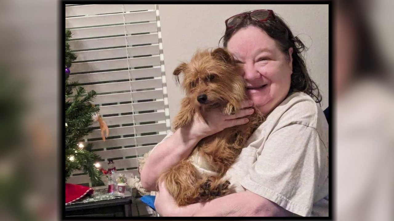 79-year-old woman watches in horror as terrier mix she's walking is ...