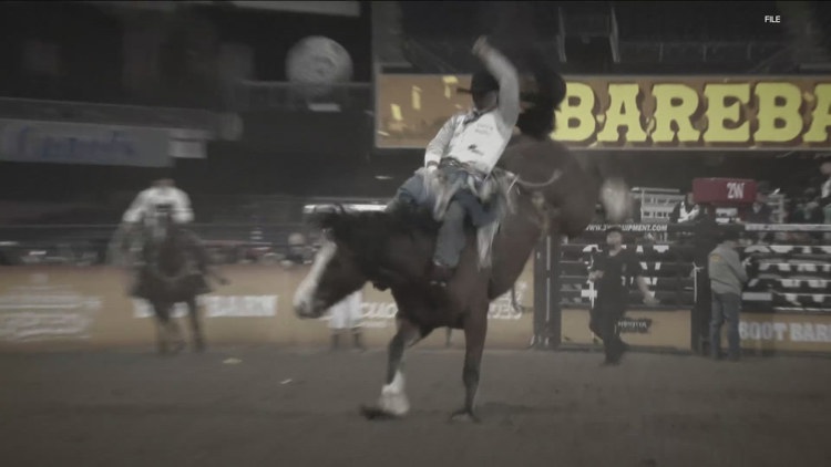 San Diego Padres face animal cruelty allegations, trial underway as ...