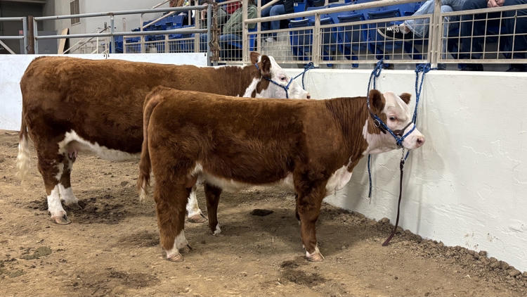 Pennsylvania Farm Show participants face economic challenges in their ...