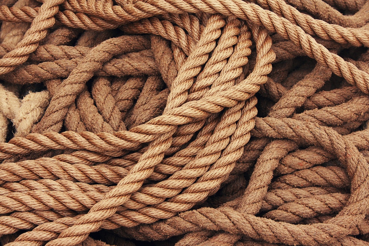 Πώς να φτιάξετε έναν εύκολο και ανθεκτικό κήπο όλο το χρόνο