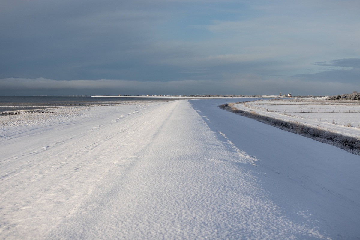 „Gibt noch wirklich nette Menschen auf der Insel“! Helden-Tat lässt ...