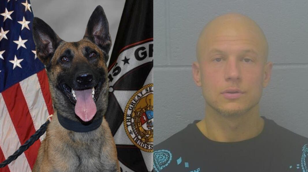 Greene County K9 assists in stopping Springfield man during hostage ...