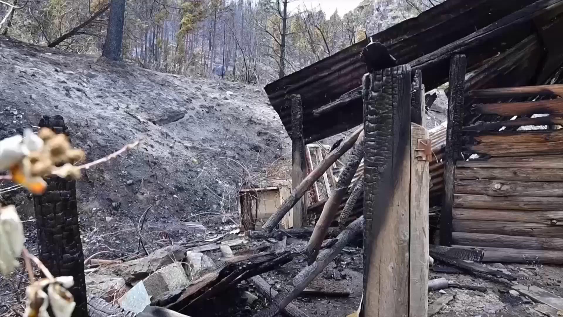 Wildfires in South Argentina rip through nearly 12,000 hectares of ...