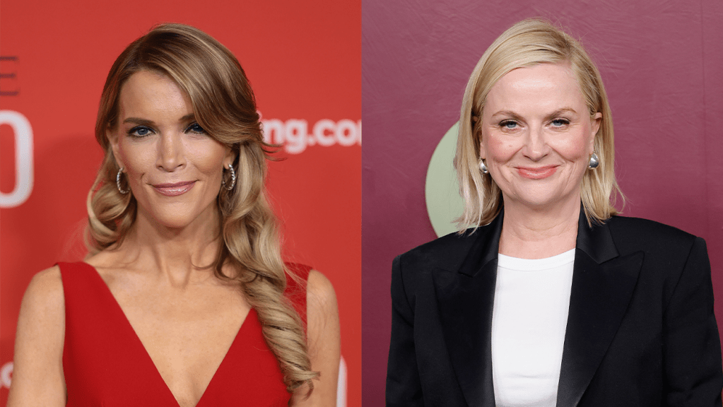 Megyn Kelly slams Amy Poehler after Golden Globes best podcast win ...
