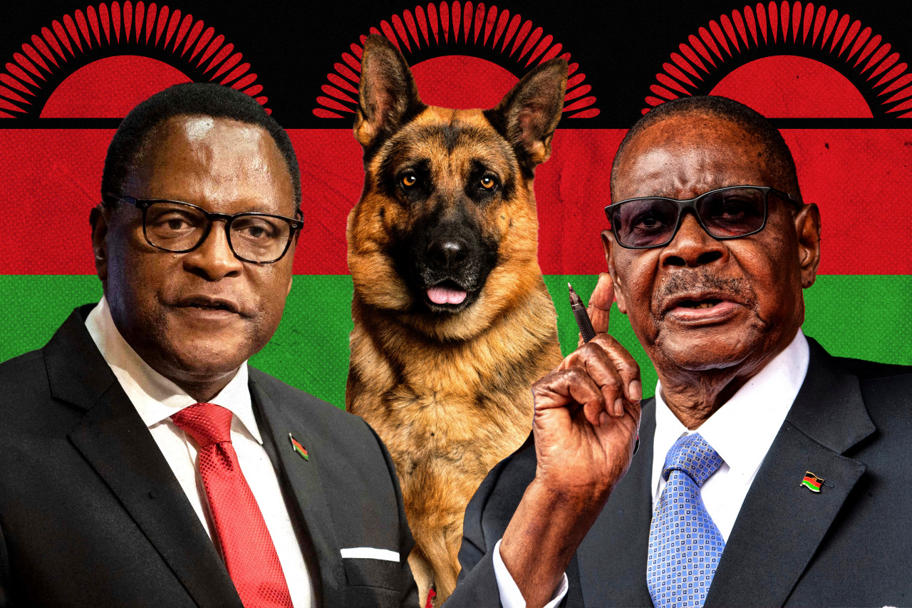 A custody battle over dogs rocks an African nation