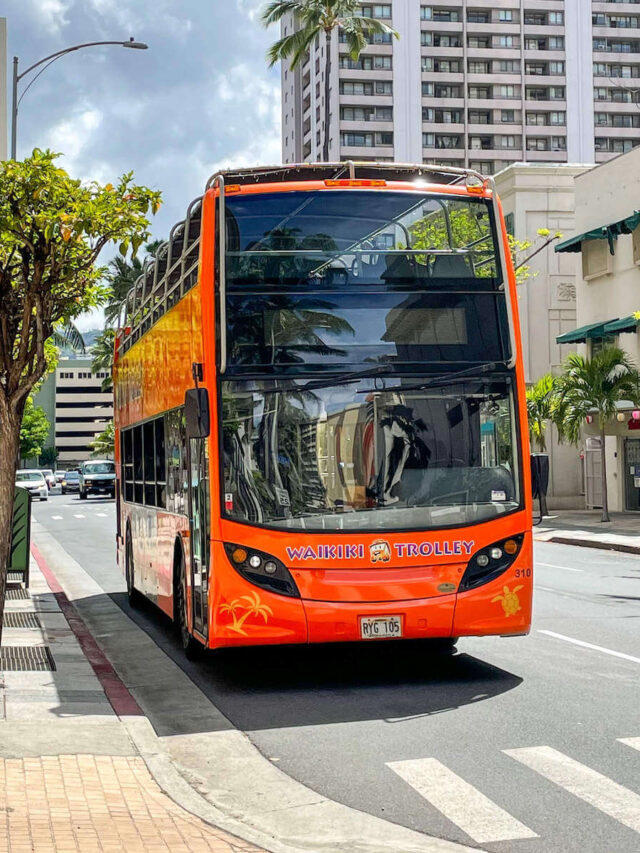 11 Waikiki activities your kids will actually love (not just tolerate)