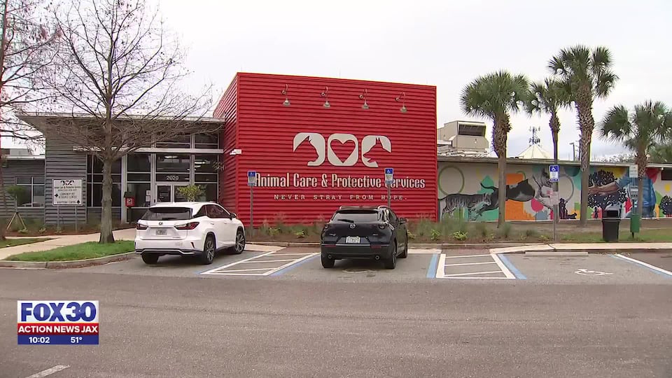 Jacksonville councilmember pushing to shorten time for city animal ...