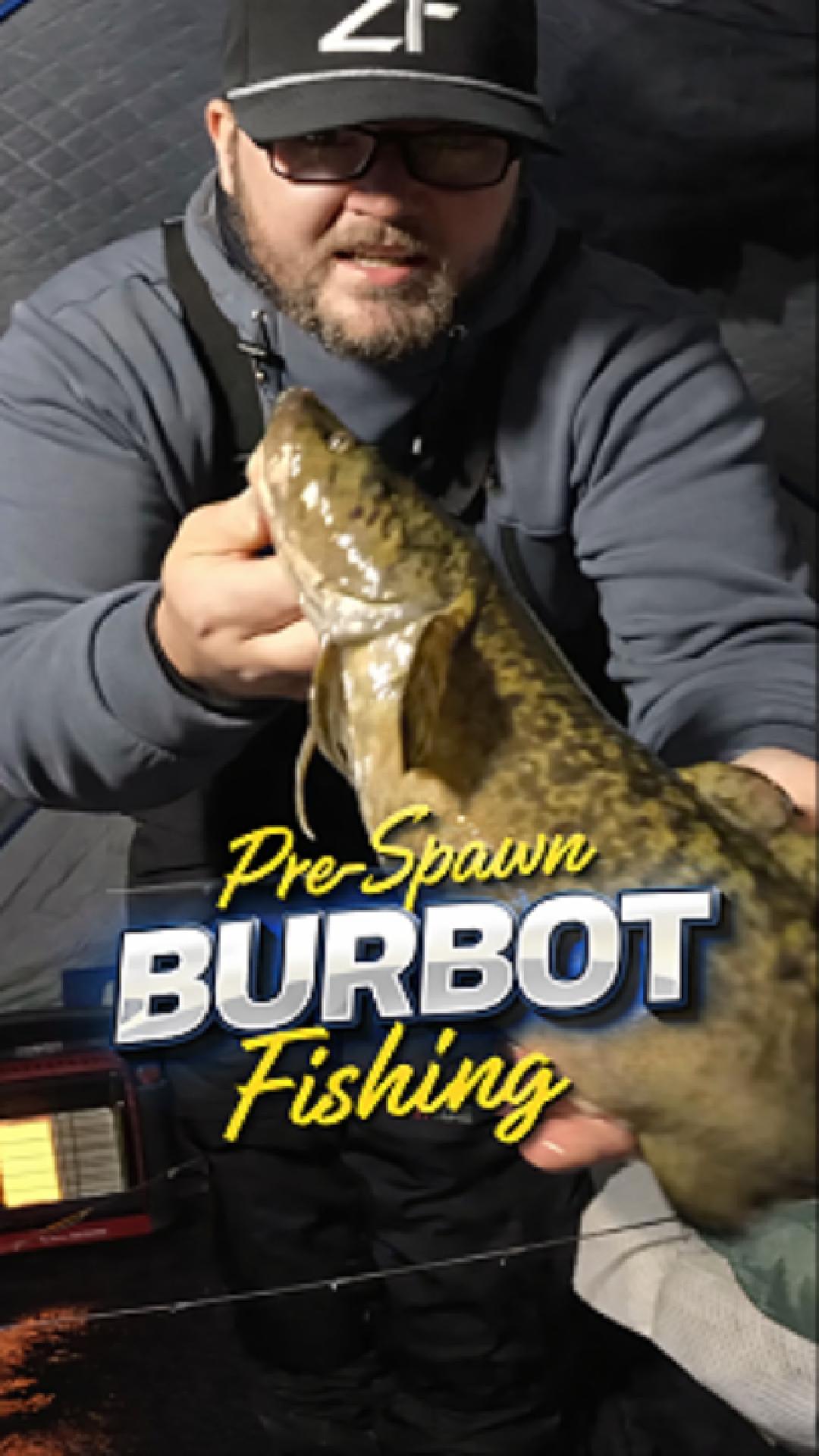 Pre-spawn burbot fishing tips and techniques