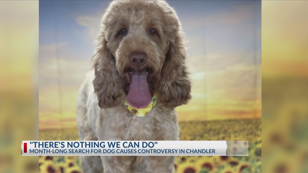 'There's nothing we can do': Chandler family searches for beloved ...