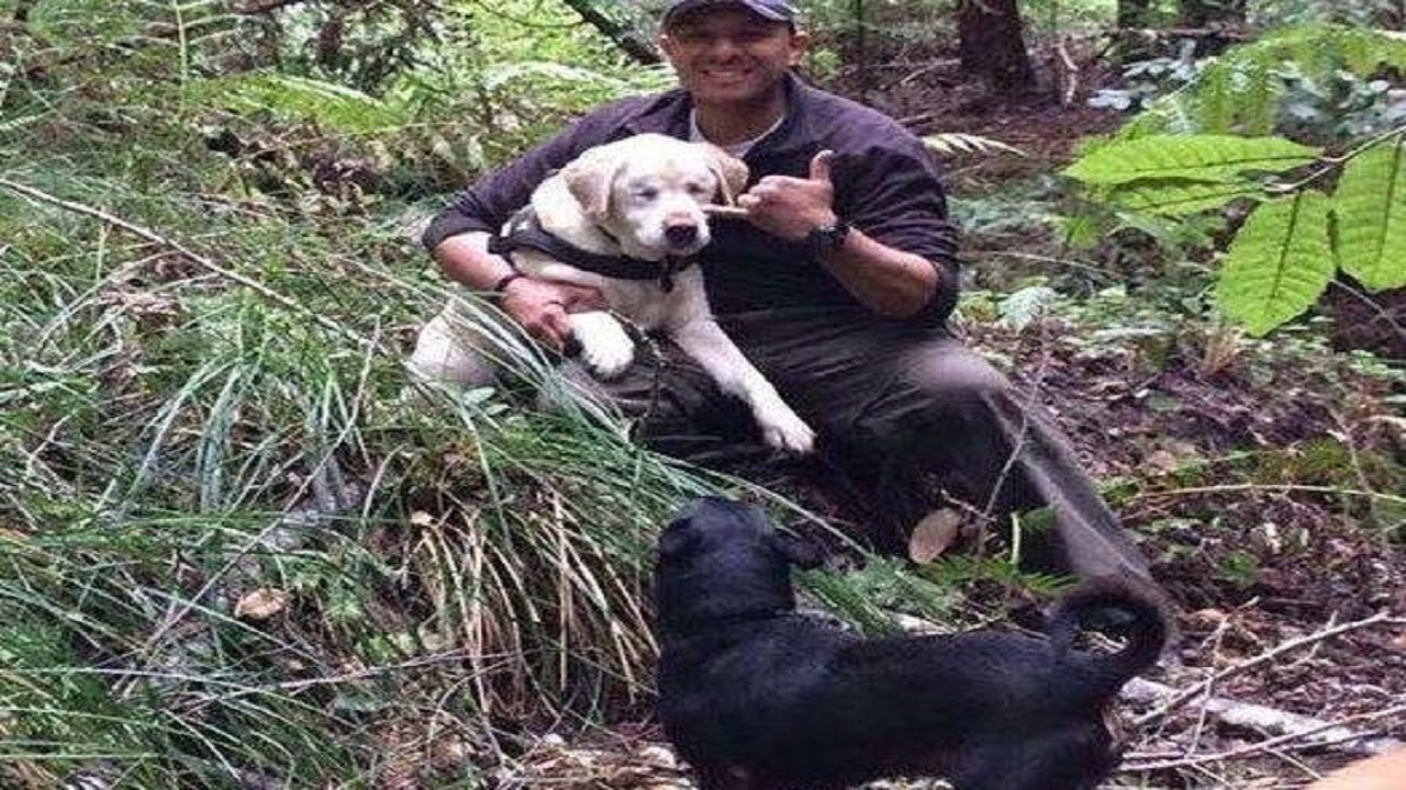 Man rescues a blind dog that had been missing for over a week