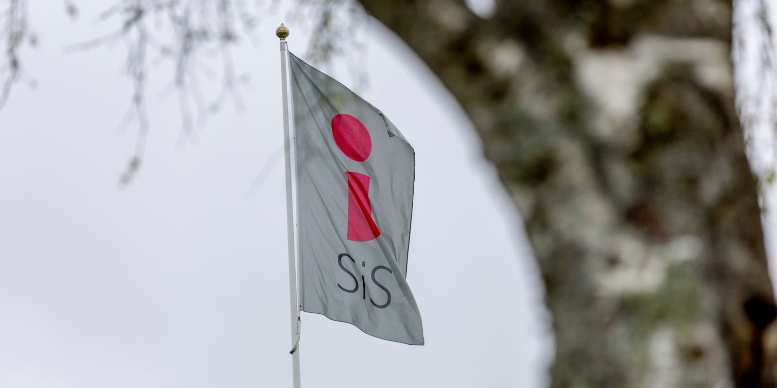 Sis-anställd misstänks för våldtäkt mot barn