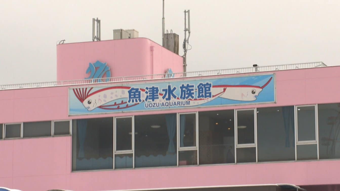 「竜宮城のよう」と話題! 魚津水族館が外壁を一新、鮮やかなさくら色に変身した理由とは?