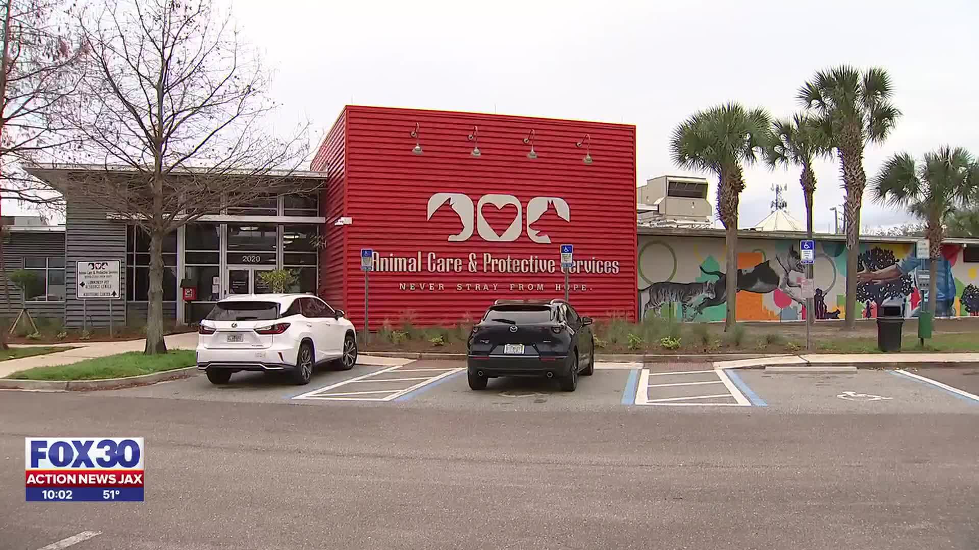 Jacksonville councilmember pushing to shorten time for city animal ...