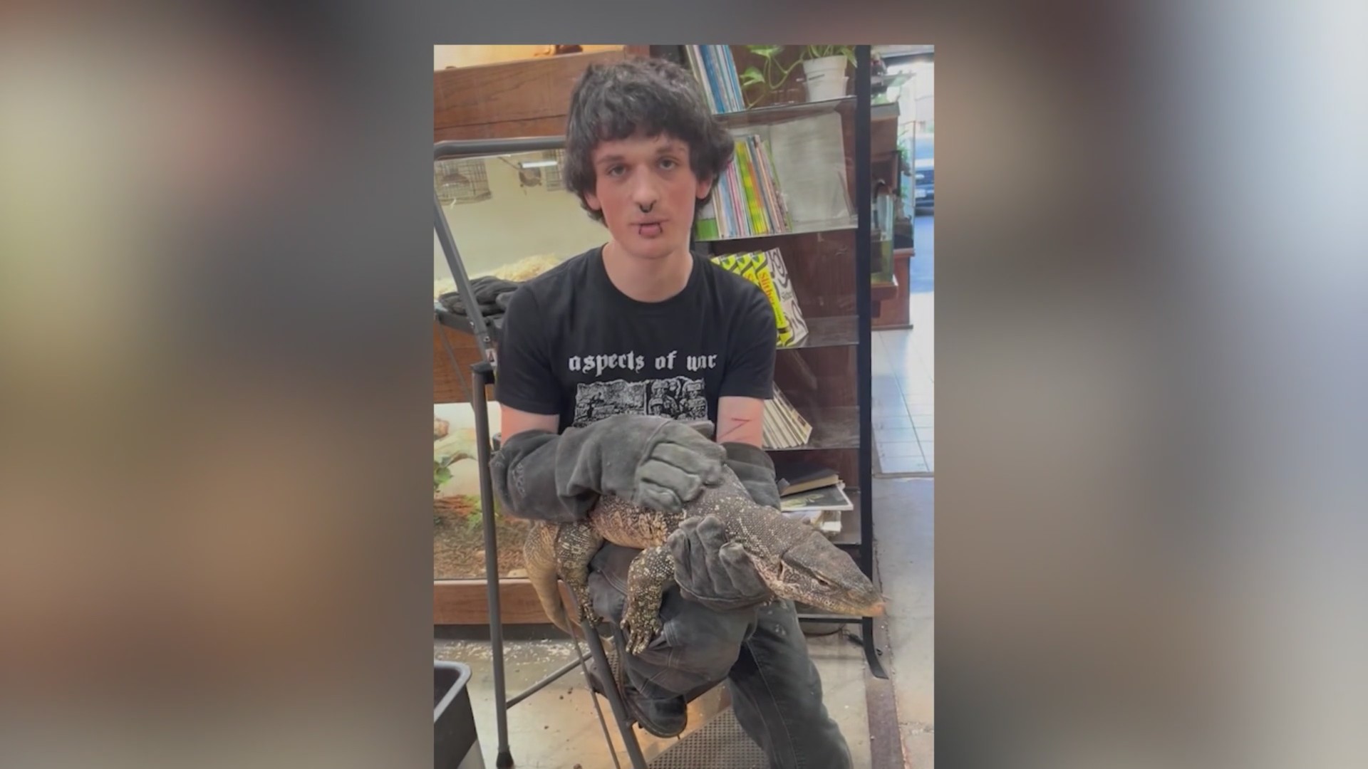 Giant lizard found abandoned in Alameda