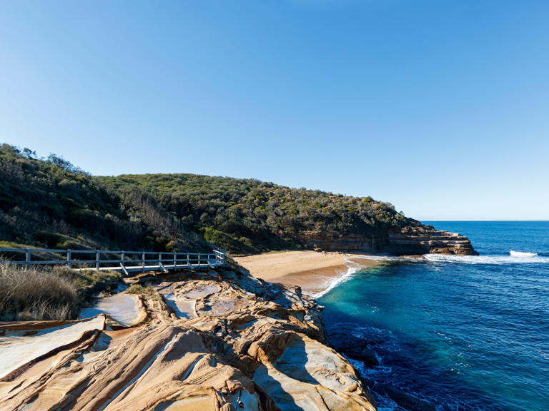 The new Central Coast hike with camping, workshops and a bush sauna