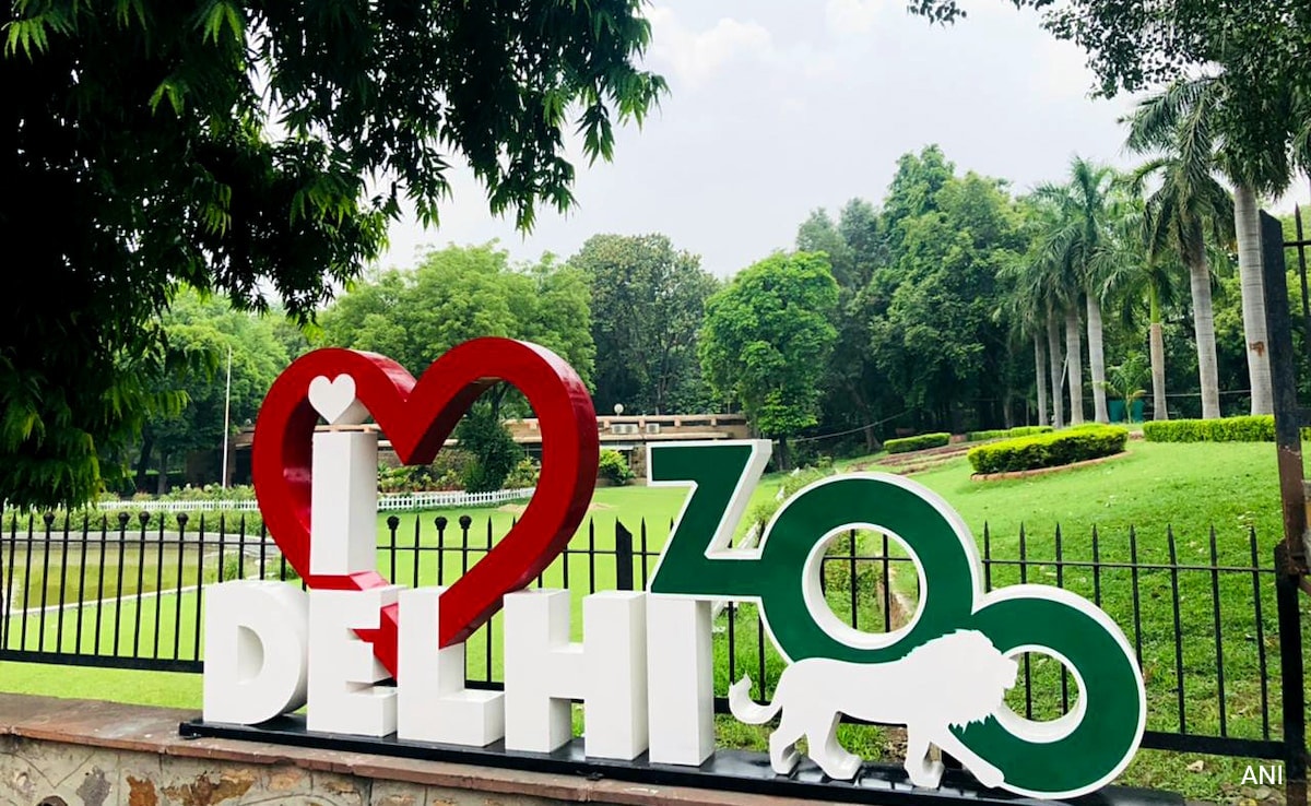 Rodenticides Traces Found In Dead Chousinghas At Delhi Zoo, Reveals Report