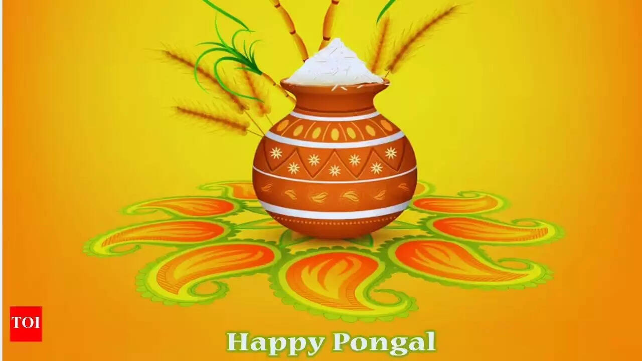 Pongal 2026: When hearts overflow with love