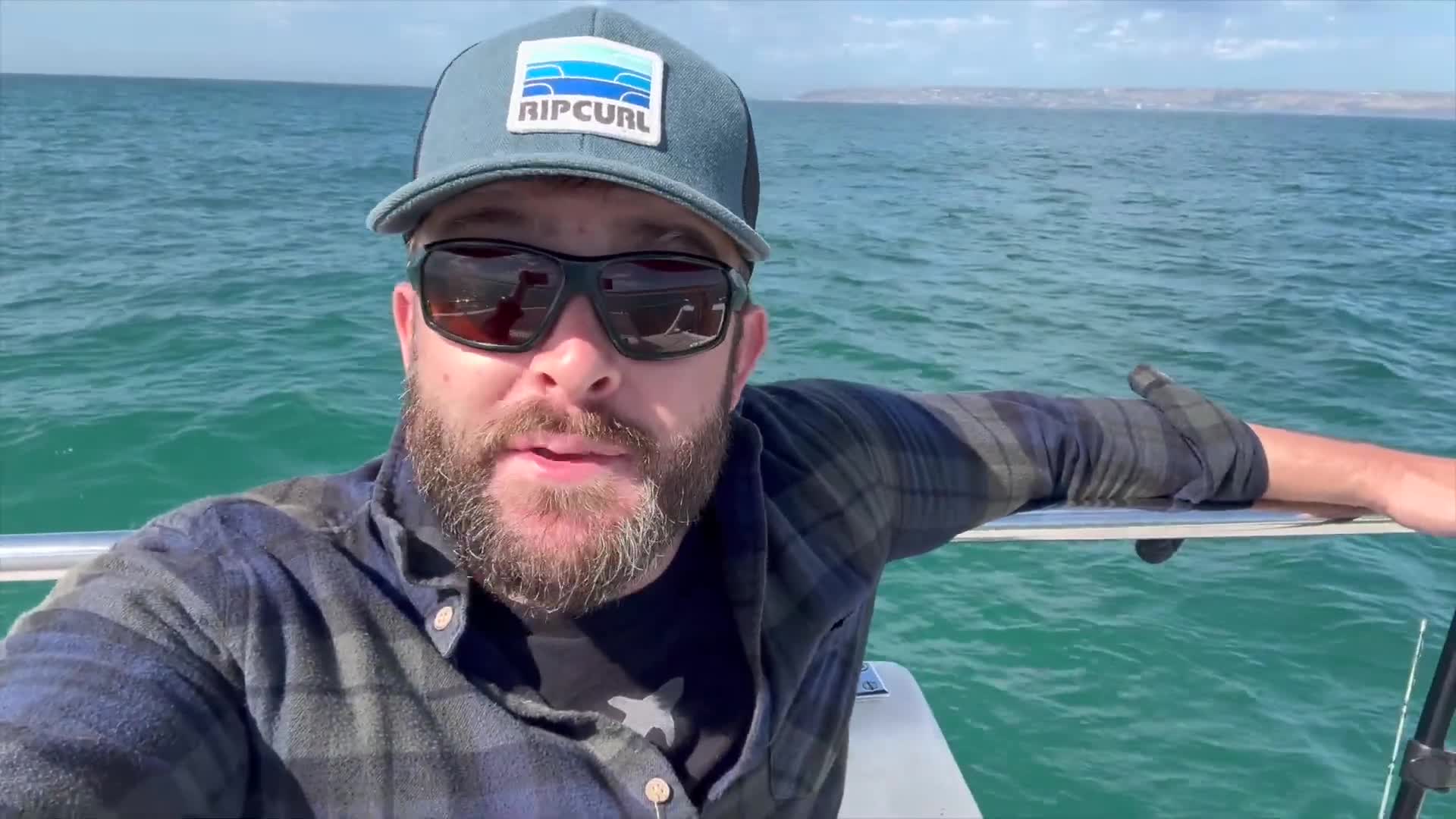 Great white shark update Mossel Bay 31/03/2024