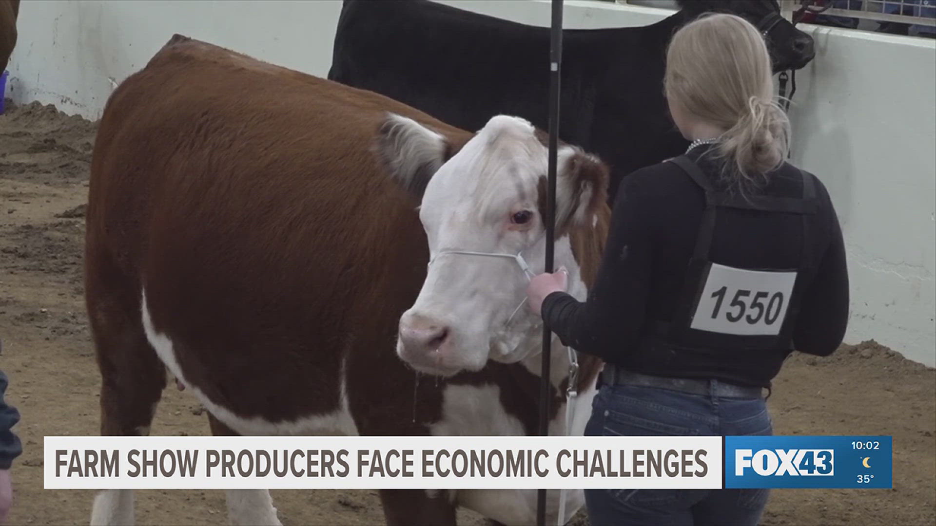 Pennsylvania Farm Show producers face economic challenges in their ...