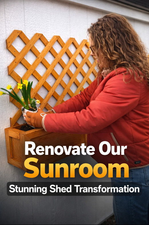 Stunning shed transformation with DIY projects