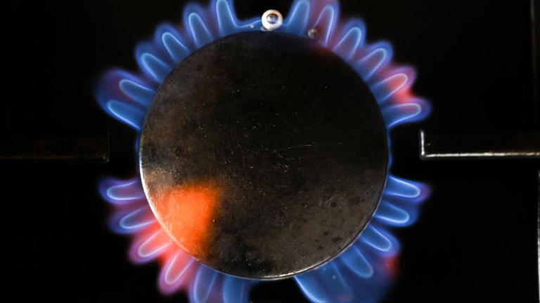 Woodside's floating gas platform arrives off WA coast