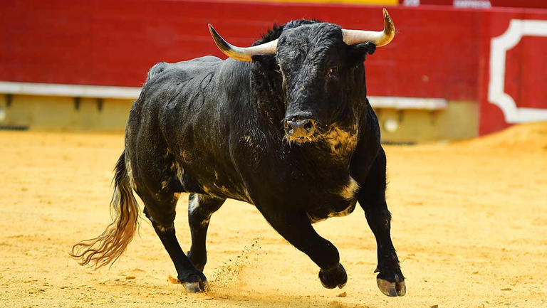 Stock market today: Dow, S&P 500 close at highs; Alphabet hits $4 ...