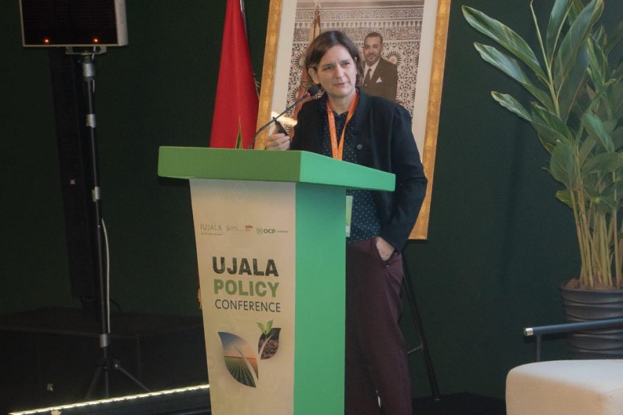 Nobel laureate: Morocco less dependent on rain for farming, but climate ...