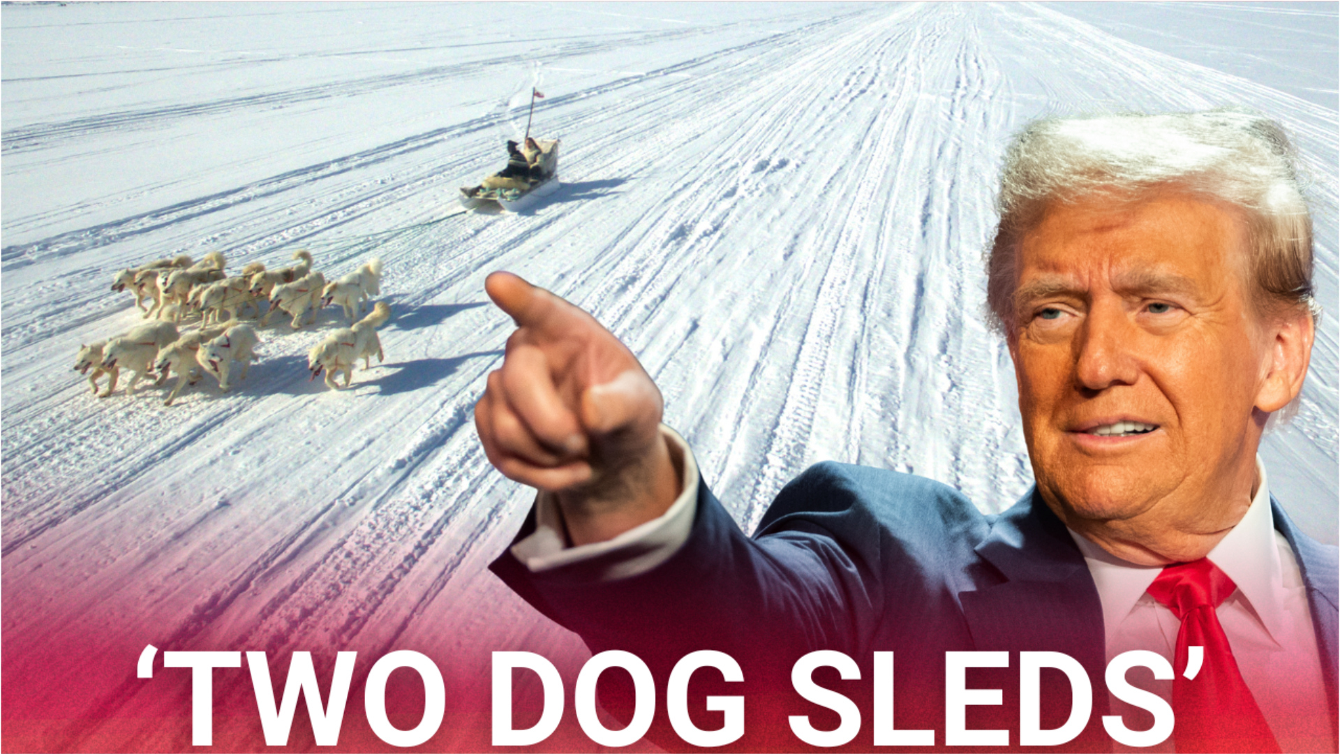 'Dog sleds': Donald Trump's hilarious roast of Greenland's military ...