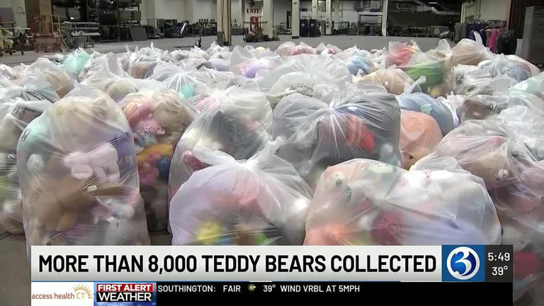 Hartford Wolf Pack fans donate over 8,500 teddy bears to Connecticut ...